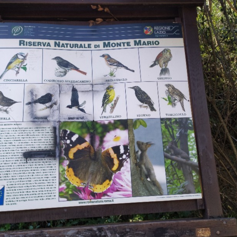 16 Gennaio La Riserva Naturale di Monte Mario • Escursioni GEP